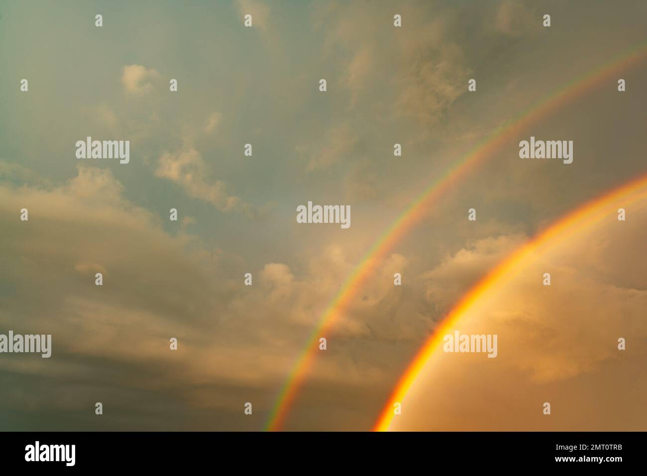 Two rainbows and a forest hi-res stock photography and images - Alamy