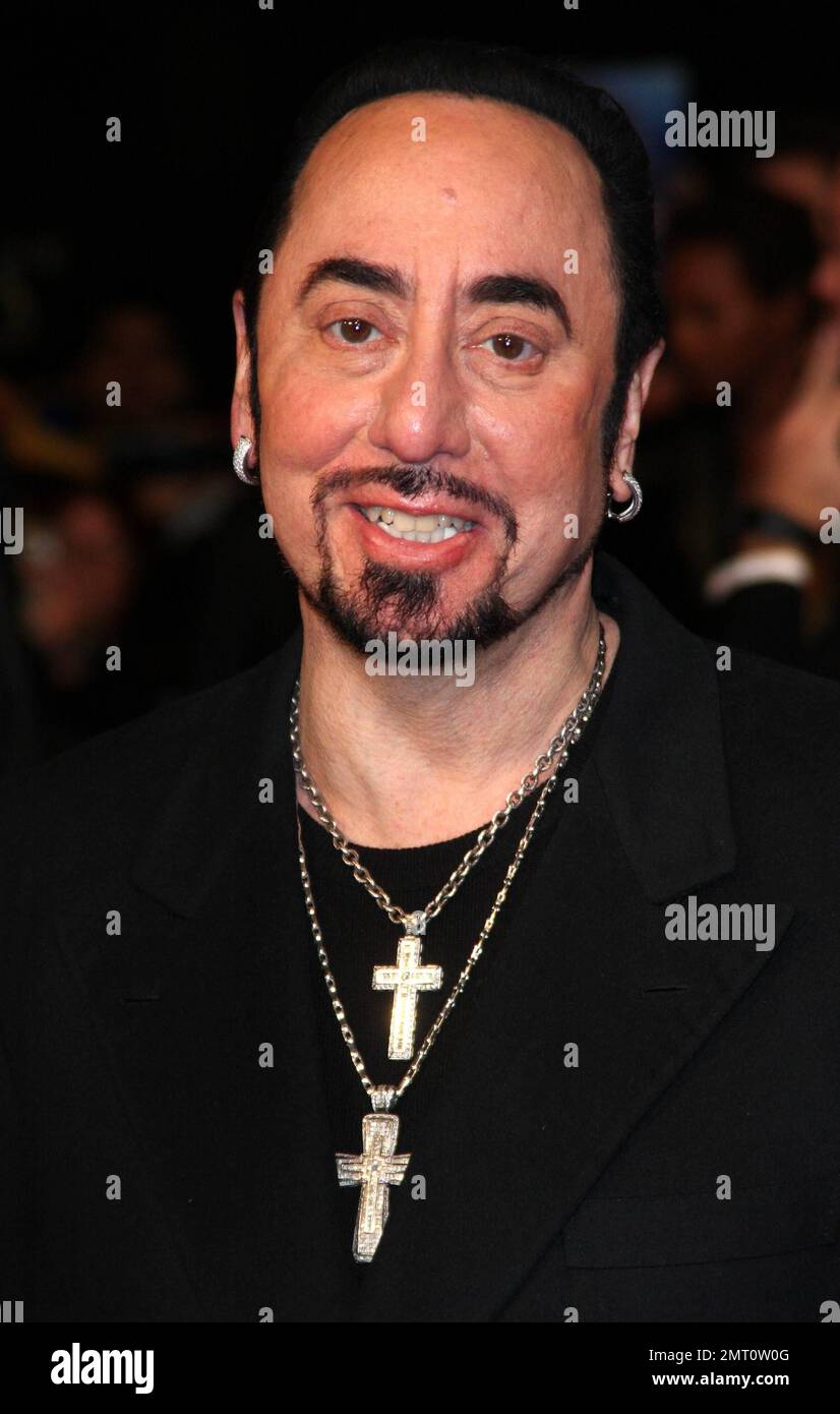 David Gest at the premiere of "Michael Jackson: The Life of an Icon" at ...