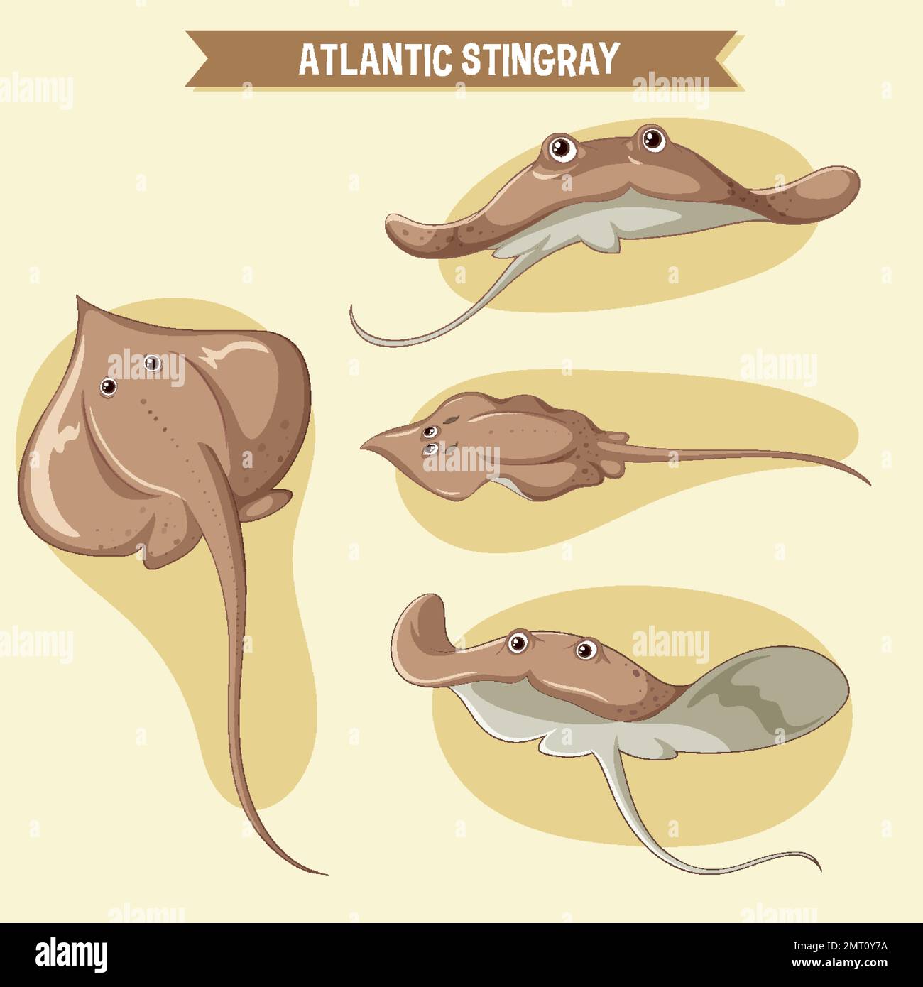 Atlantic stingray cartoon character set illustration Stock Vector Image ...