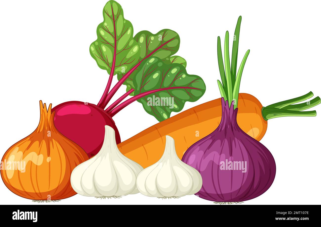 Pile of various root vegetables illustration Stock Vector Image & Art ...