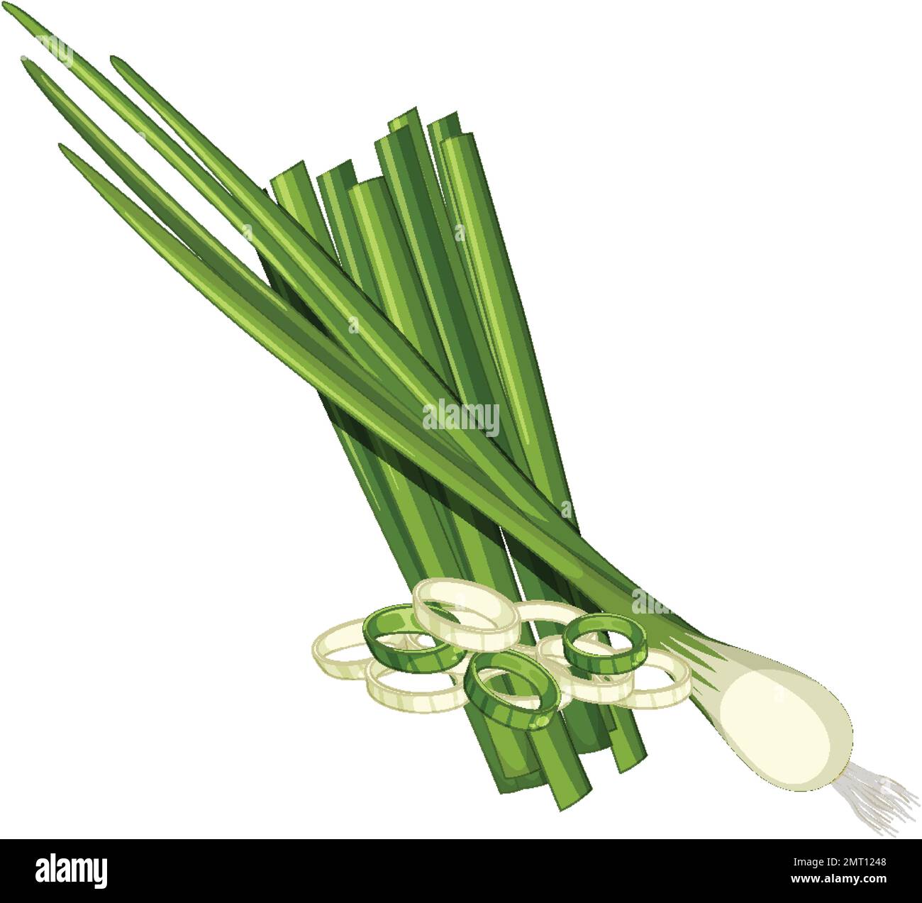 Cartoon spring onion isolated illustration Stock Vector Image & Art - Alamy