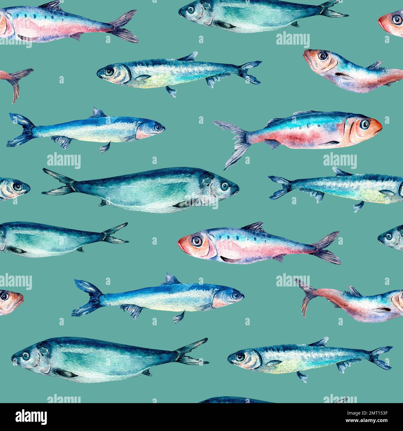 Sea fish horizontally seamless pattern watercolor isolated on blue ...