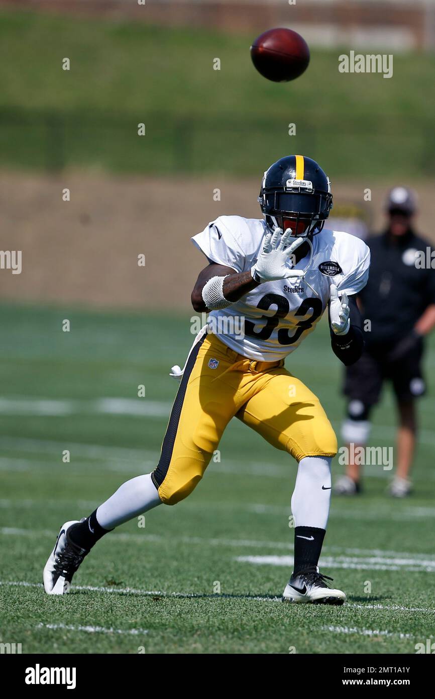 Pittsburgh Steelers running back Fitzgerald Toussaint (33) makes a ...