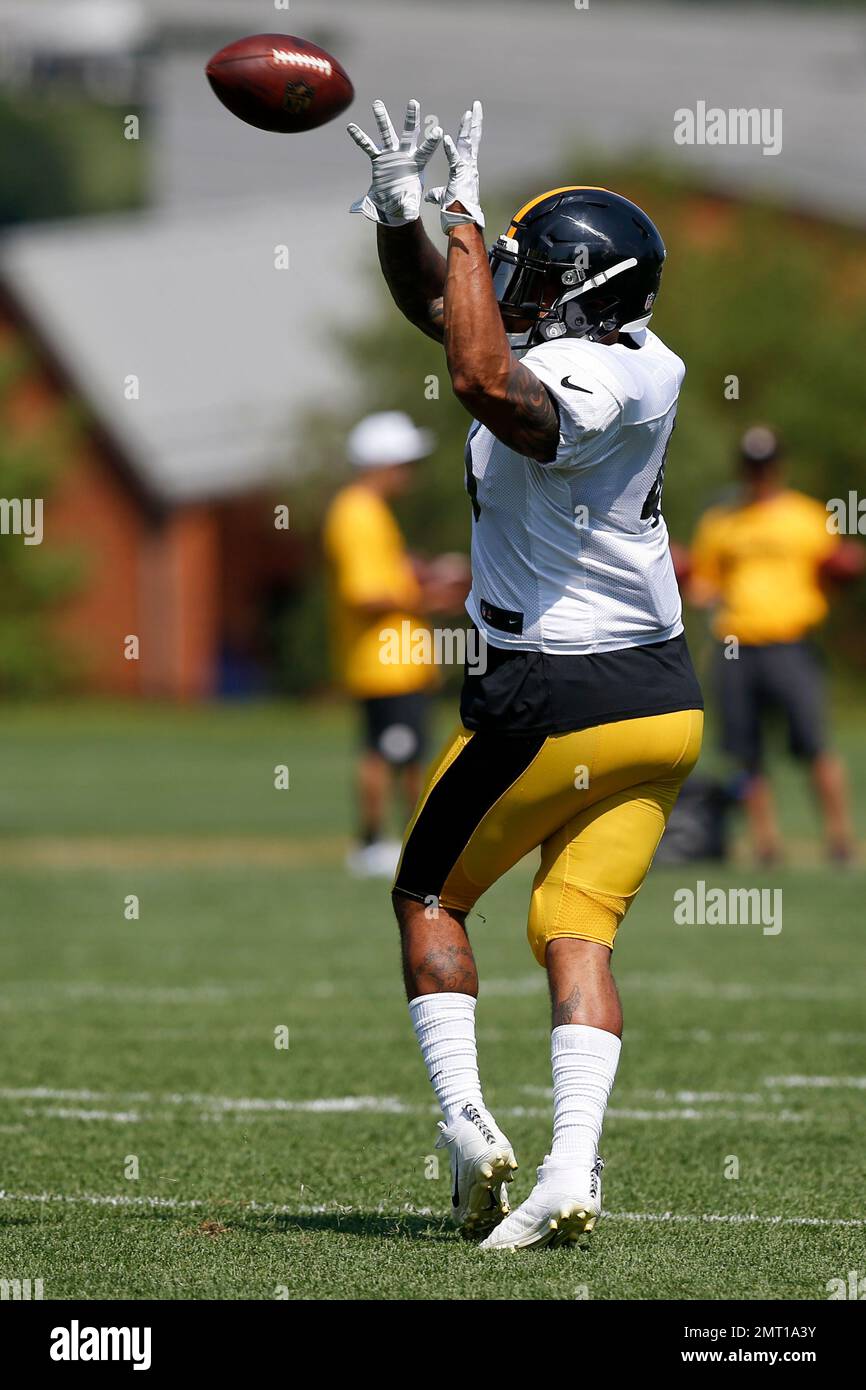 Pittsburgh Steelers running back Fitzgerald Toussaint (33) makes a ...