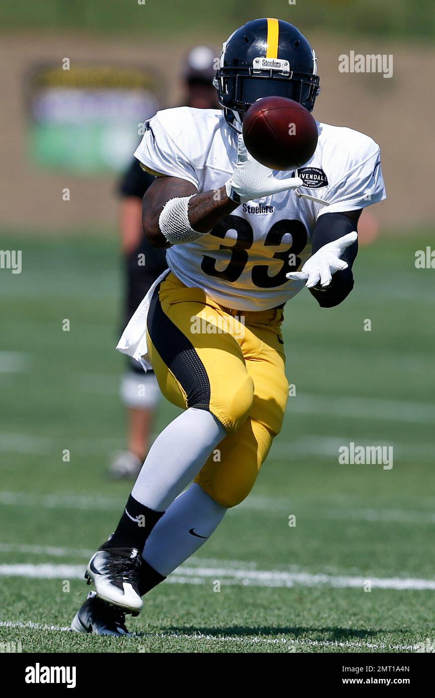Pittsburgh Steelers running back Fitzgerald Toussaint (33) makes a ...