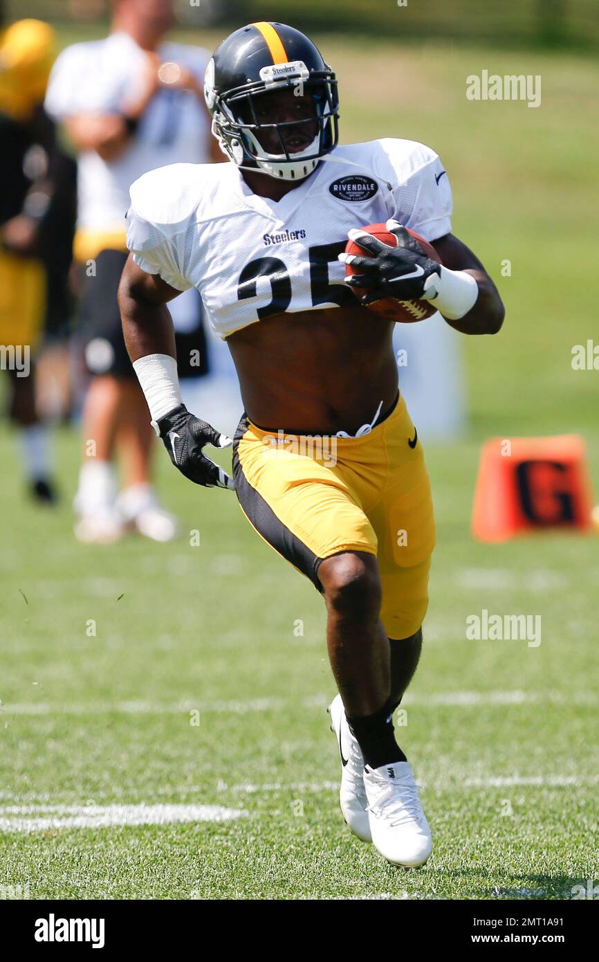 Pittsburgh Steelers running back Trey Williams (35) during an NFL training camp football ...