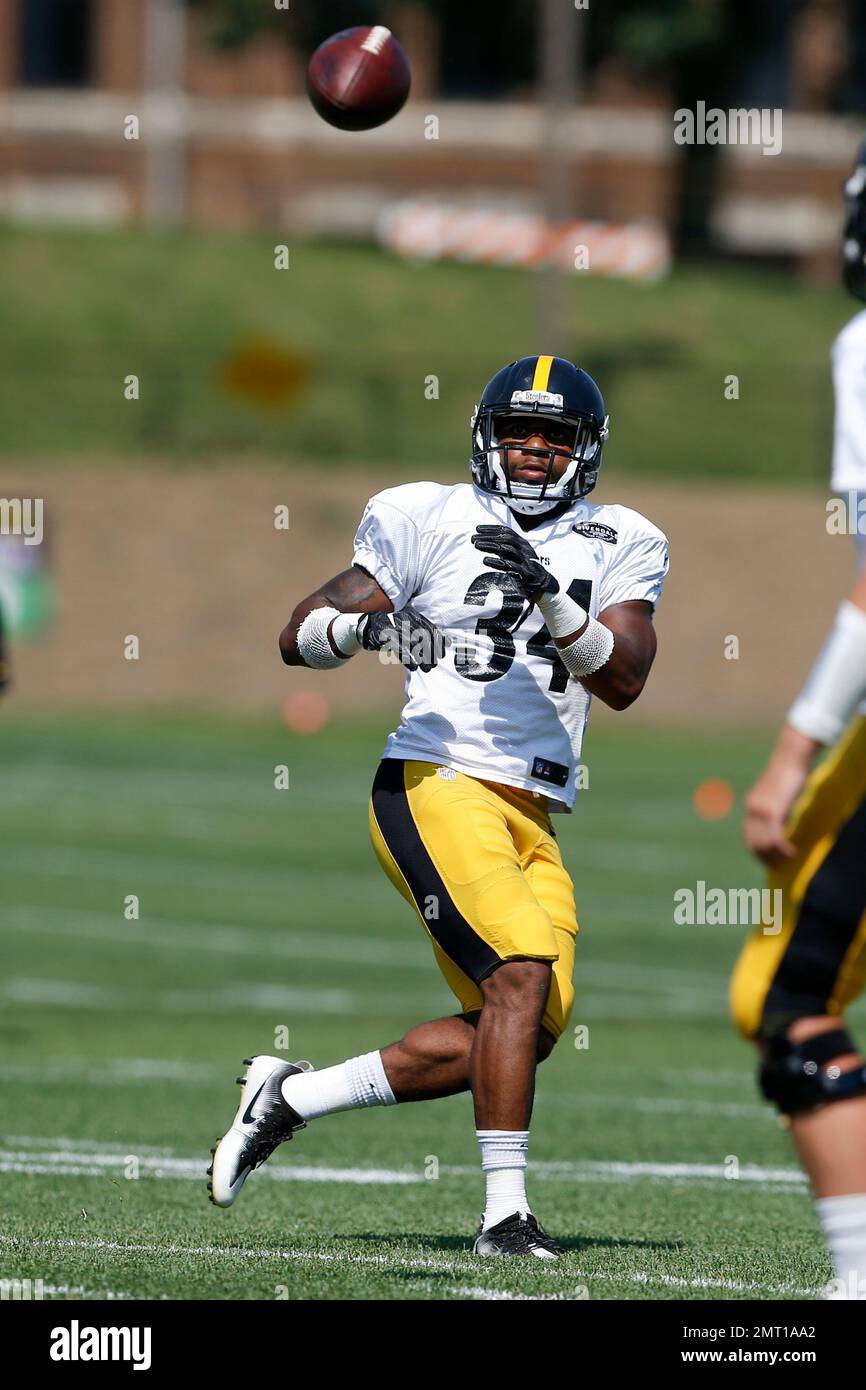 Pittsburgh Steelers running back Knile Davis (34) during an NFL ...