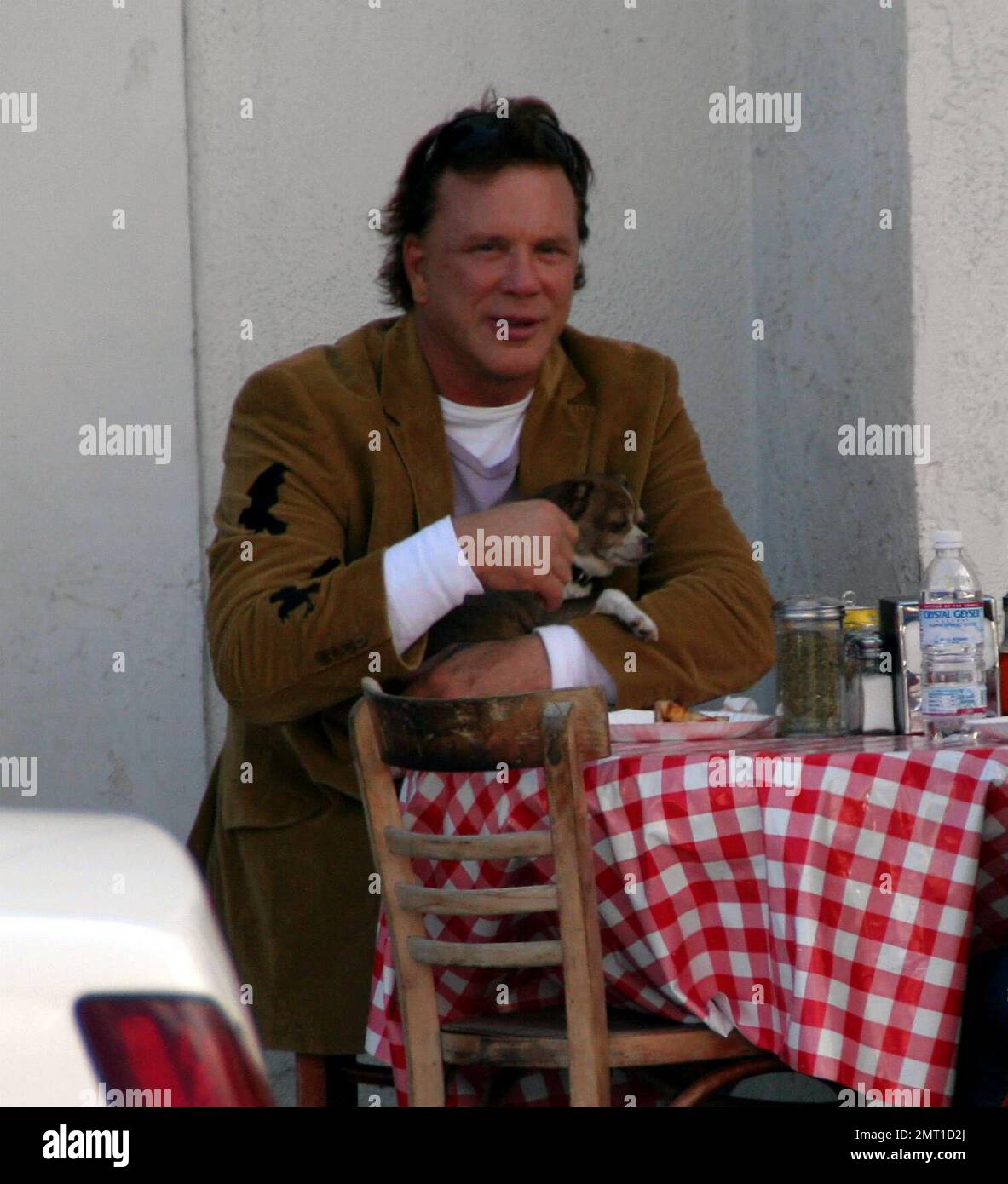 Exclusive!! Mickey Rourke takes his dog Loki, a Chihuahua-Terrier mix ...