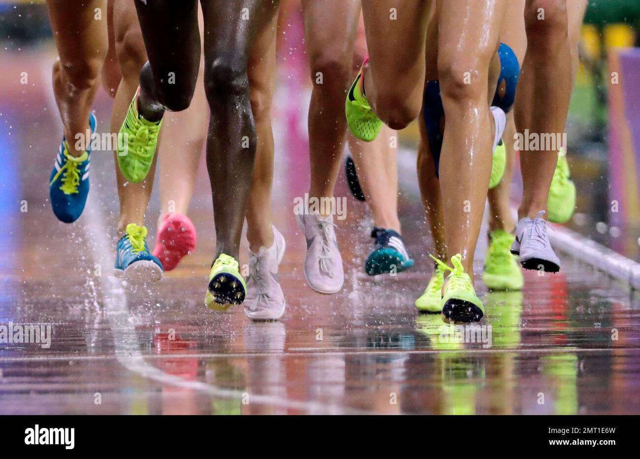 Competitors in the Women's 3000m Steeplechase are reflected on the wet ...