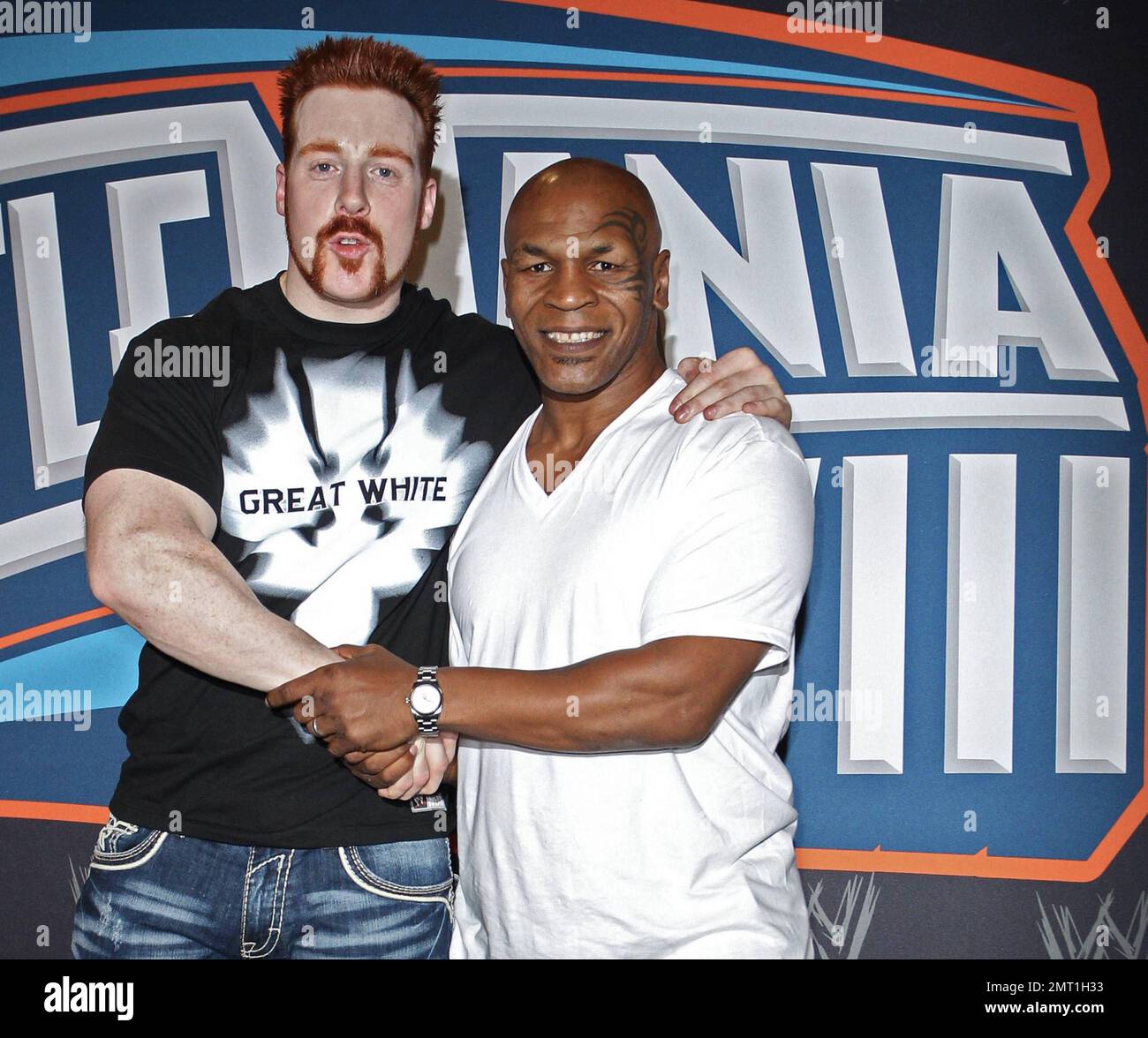 Pro Boxer and "Hangover' star Mike Tyson at the WWE WrestleMania 28 ...