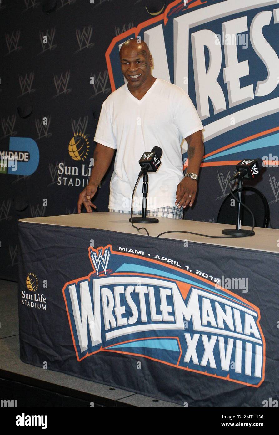 Pro Boxer and "Hangover' star Mike Tyson at the WWE WrestleMania 28 ...