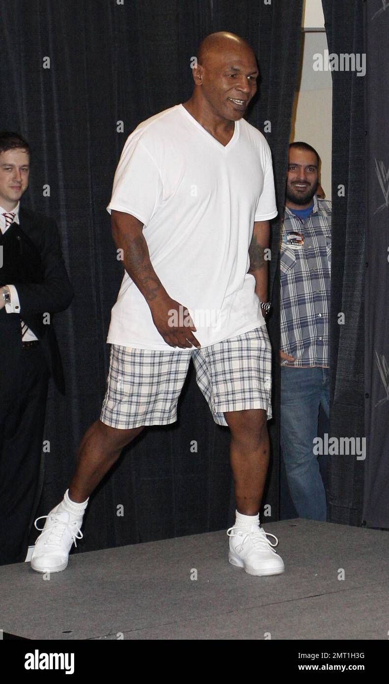 Pro Boxer and "Hangover' star Mike Tyson at the WWE WrestleMania 28 ...