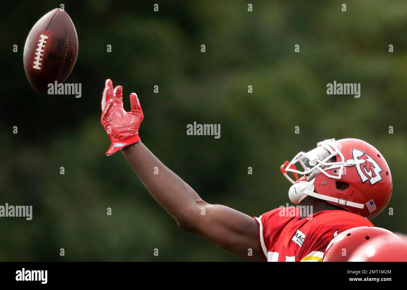 Kansas City Chiefs tight end Demetrius Harris (84) reaches for a pass ...