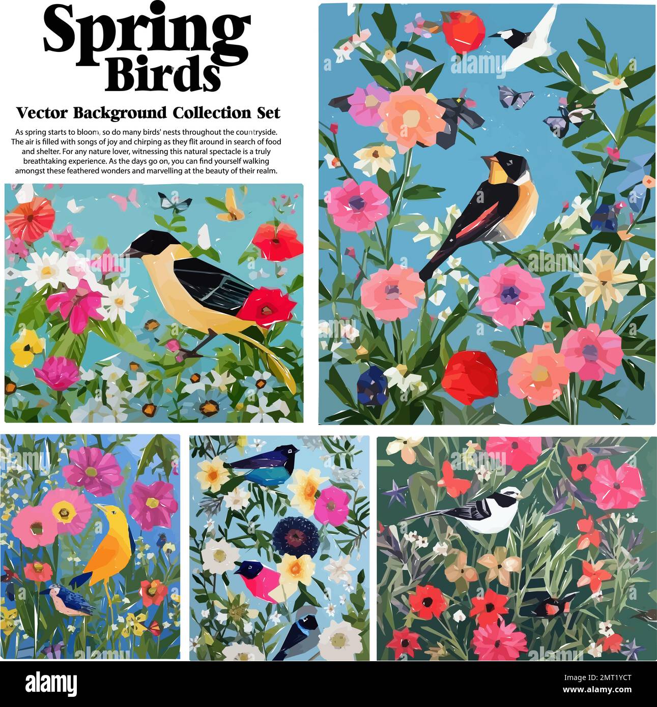Spring flowers and birds vector illustration set. Floral background for ...