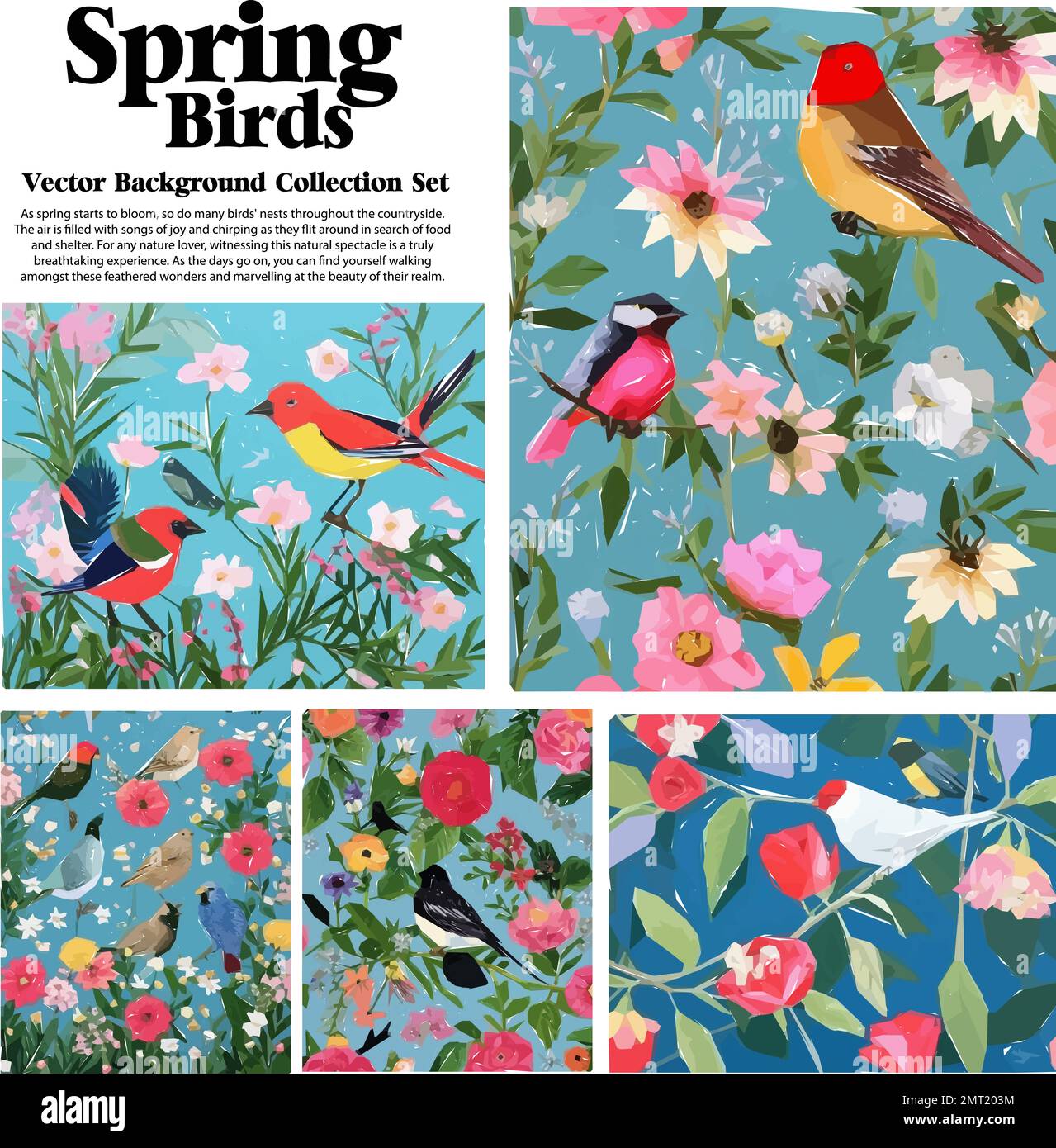 Spring flowers and birds vector illustration set. Floral background for ...