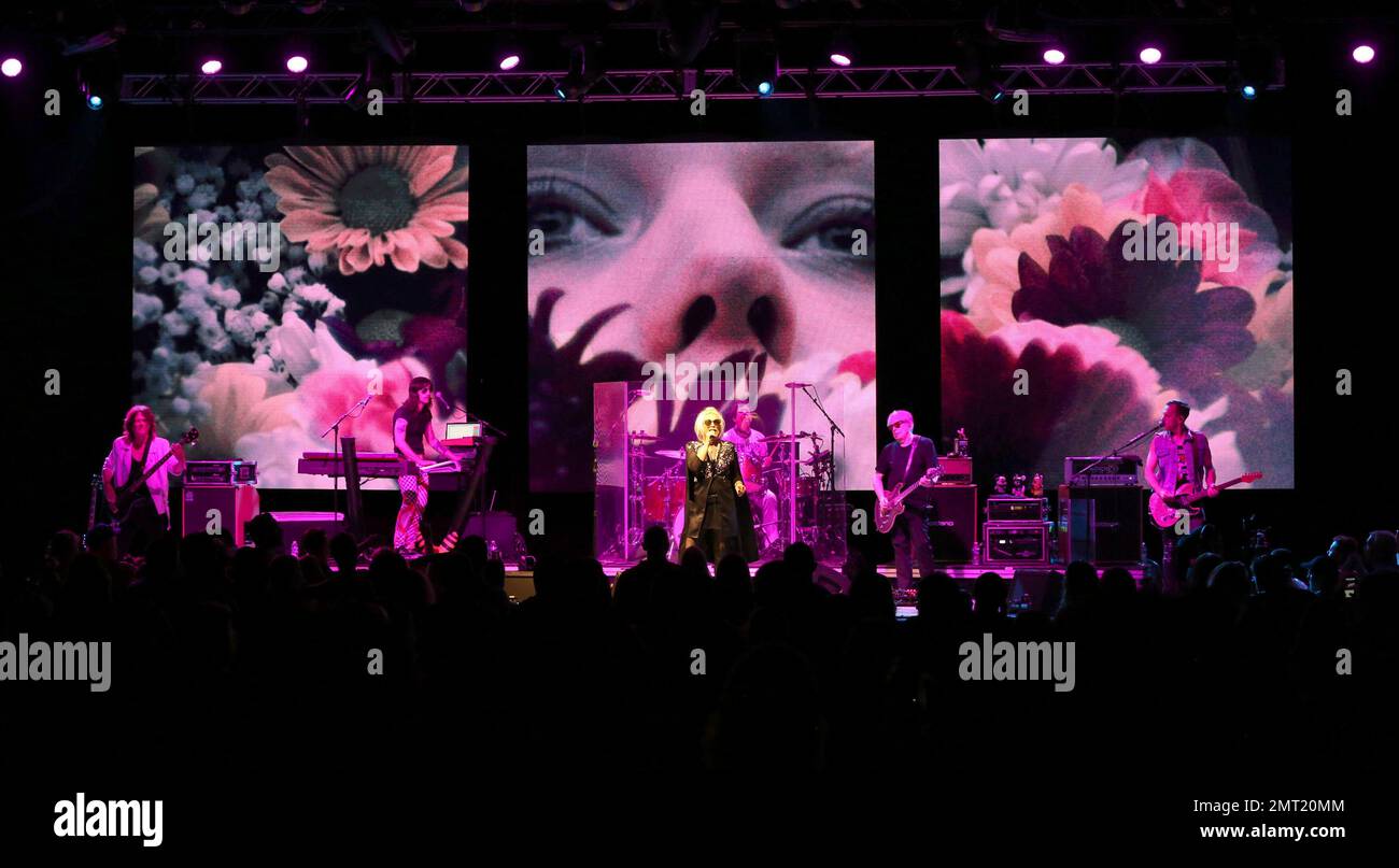 Debbie Harry, Chris Stein, Clem Burke, Leigh Foxx, Matt Katz-Bohen and ...
