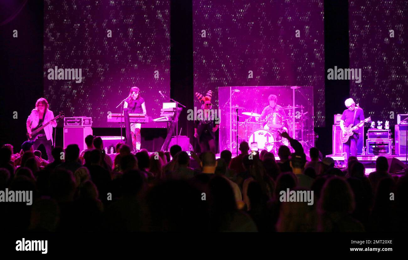 Debbie Harry, Chris Stein, Clem Burke, Leigh Foxx, Matt Katz-Bohen and ...