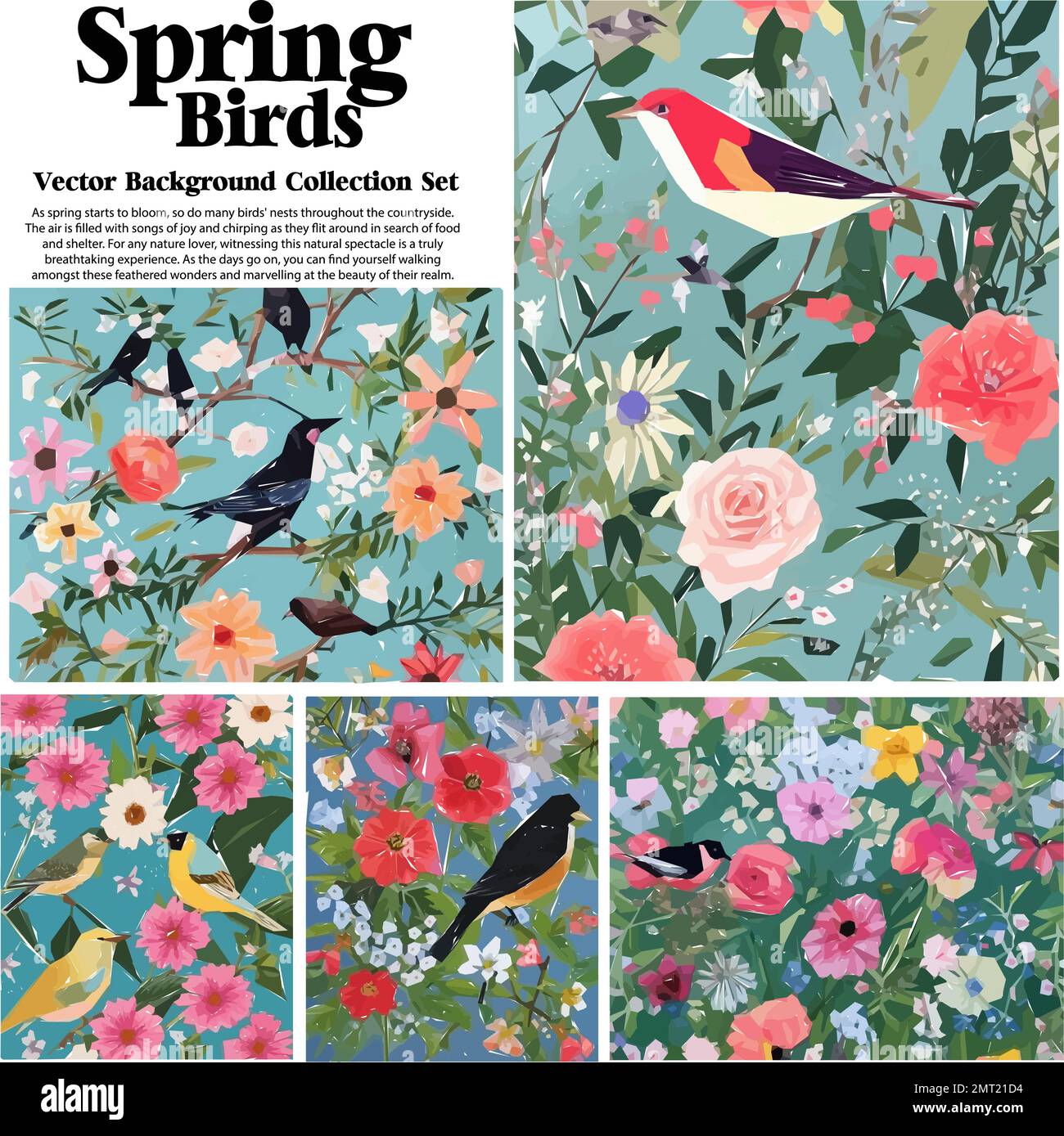Spring flowers and birds vector illustration set. Floral background for ...