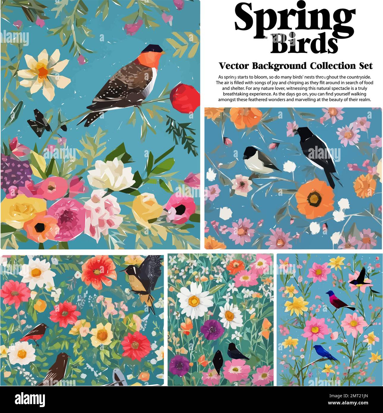 Spring flowers and birds vector illustration set. Floral background for ...