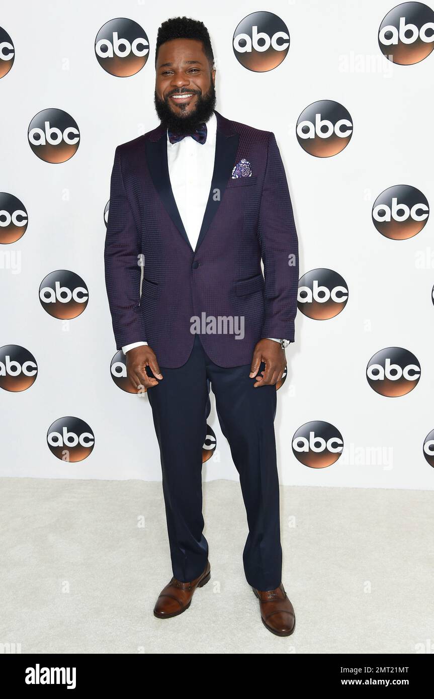 Malcolm-Jamal Warner attends the Disney ABC Television Critics ...