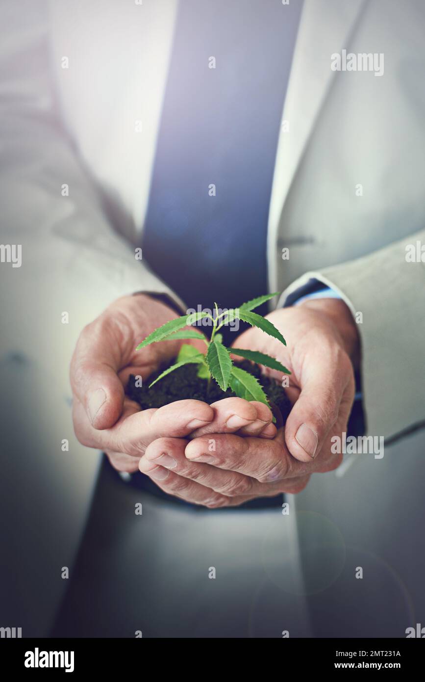 Does your business need a fresh start. a businessman holding a small ...