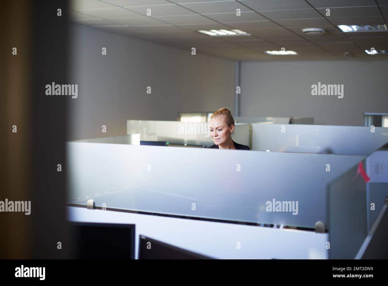 Shes willing to work for her success. an attractive young woman standing in her office cubicle ...