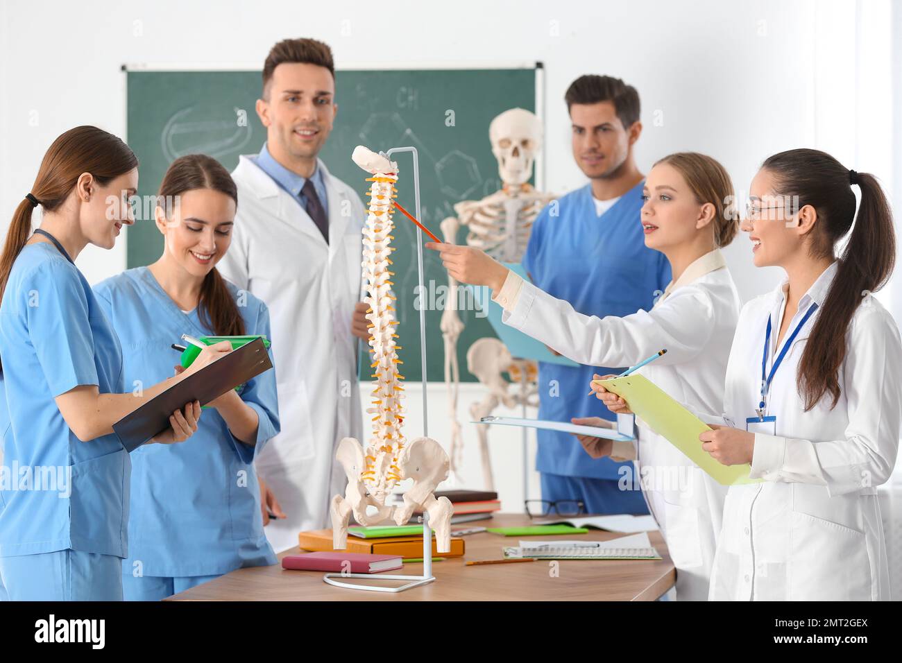 Medical students studying human spine structure in classroom Stock ...