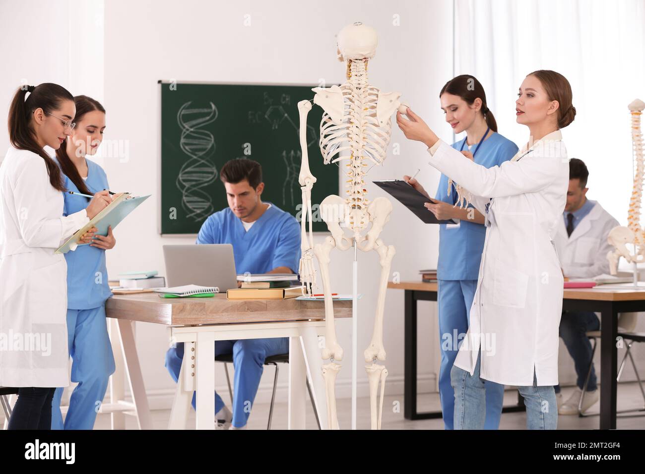 Medical students studying human skeleton anatomy in classroom Stock ...