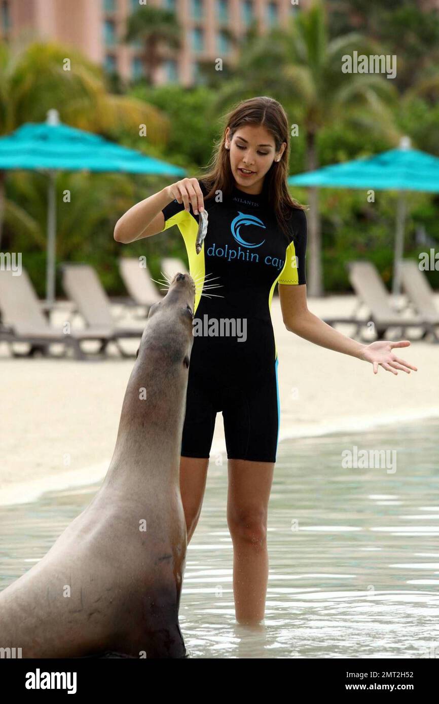 Exclusive!! Miss Universe Dayana Mendoza experiences the wildife at ...