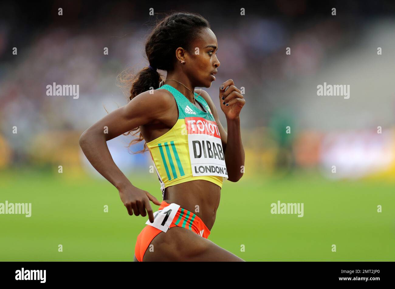Ethiopia's Genzebe Dibaba competes in a Women's 1500 meters heat during ...