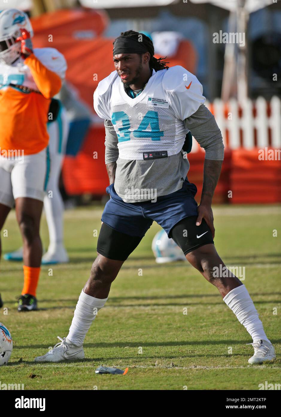 Miami Dolphins running back Senorise Perry stretches out during an NFL ...
