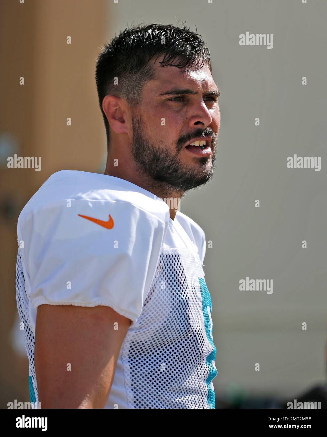 Miami Dolphins quarterback Matt Moore is shown after an NFL football ...
