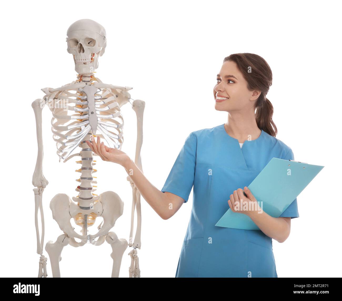 Female orthopedist with human skeleton model on white background Stock ...