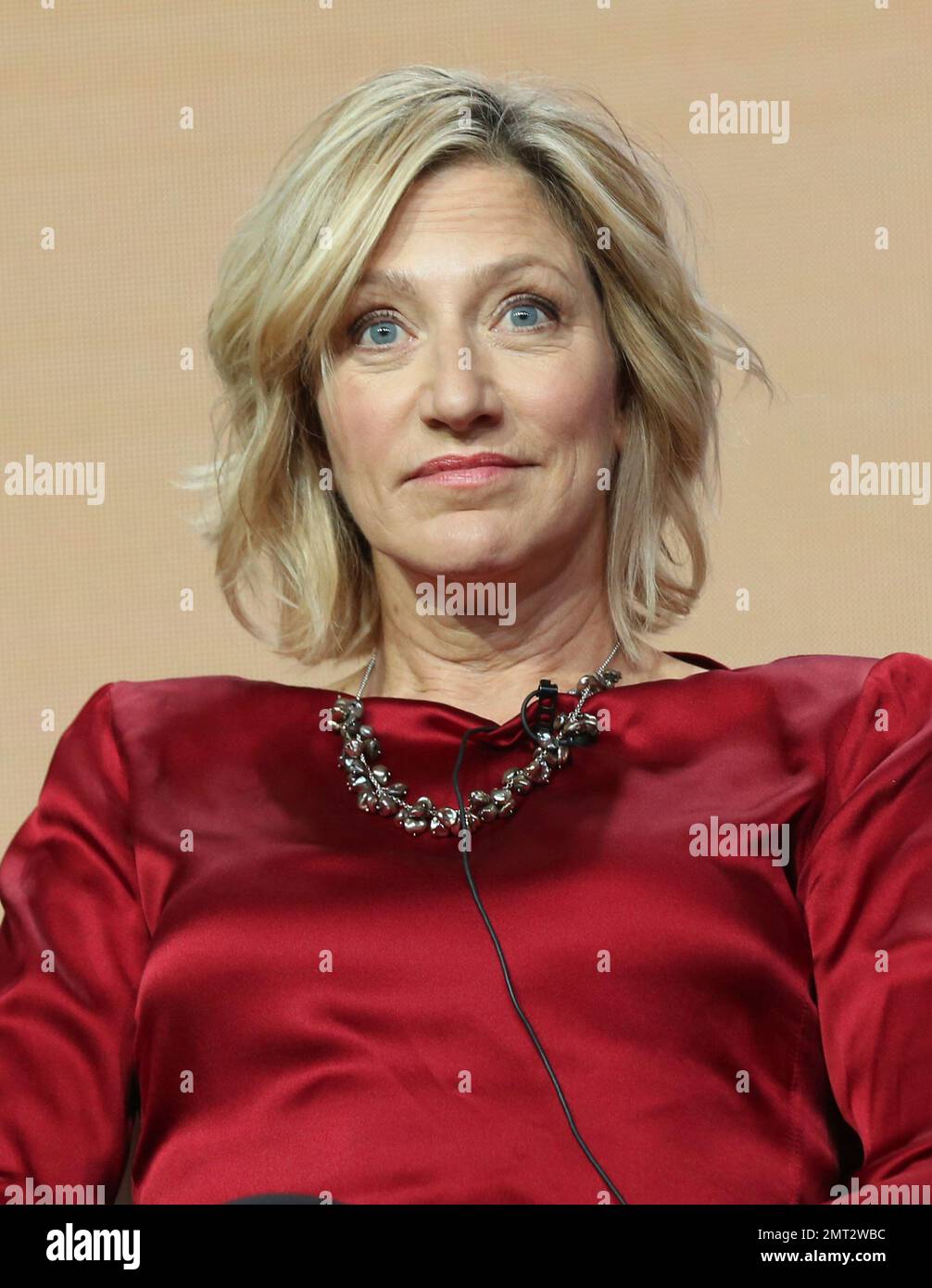 Edie Falco participates in the "Law & Order True Crime: The Menendez ...