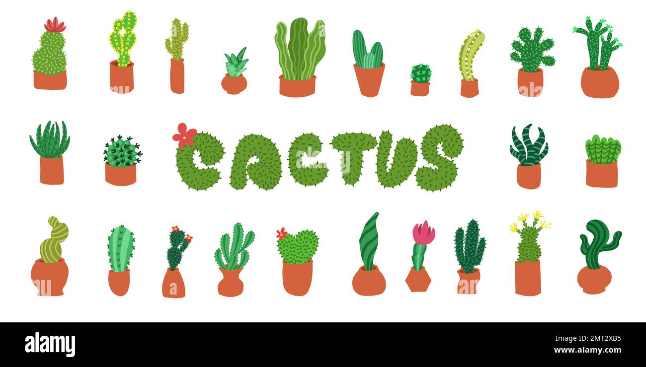 Cacti set. Vector illustrations in cartoon flat style isolated on white ...