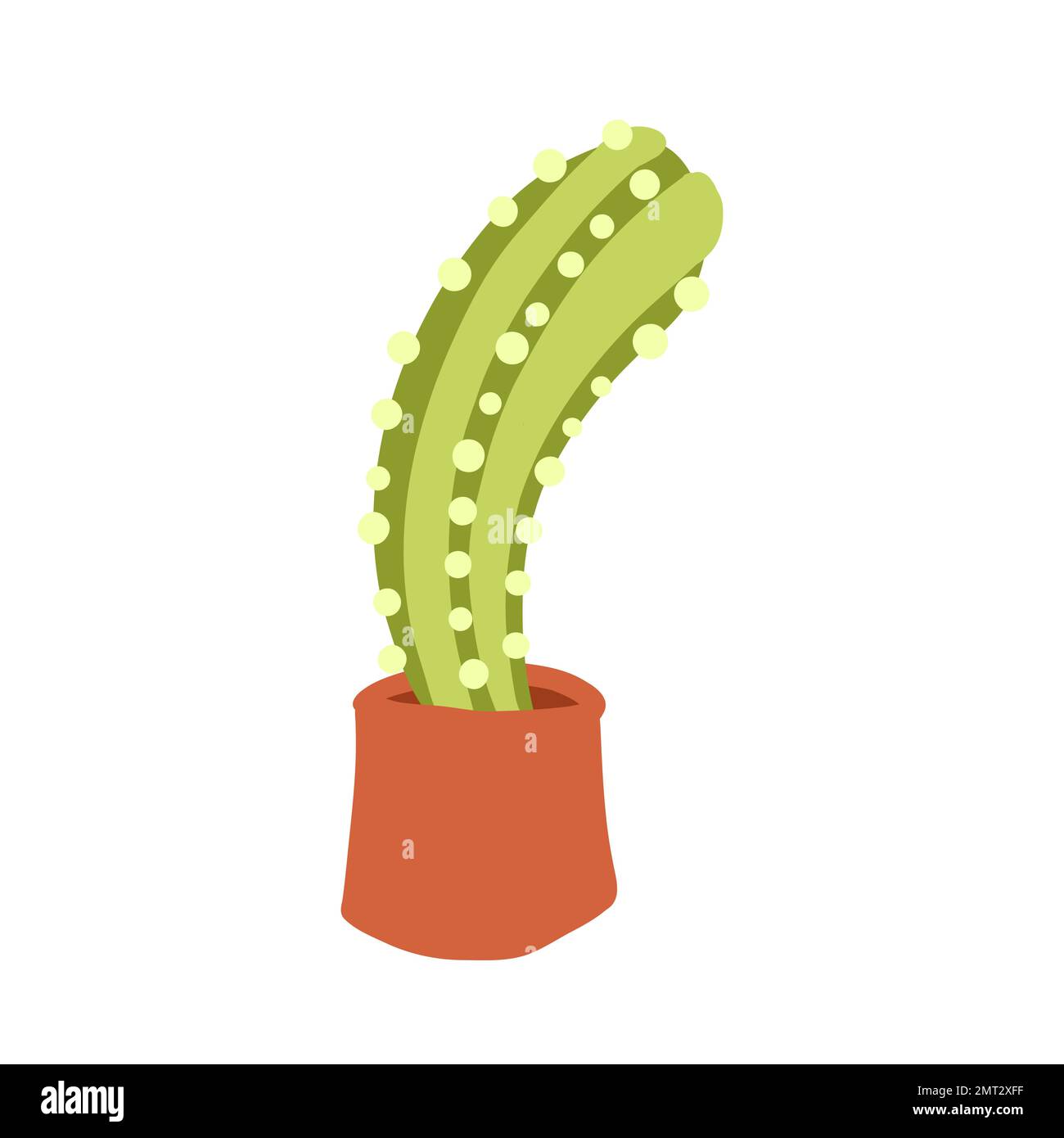 Cartoon cactus. Vector illustration in flat style isolated on white ...