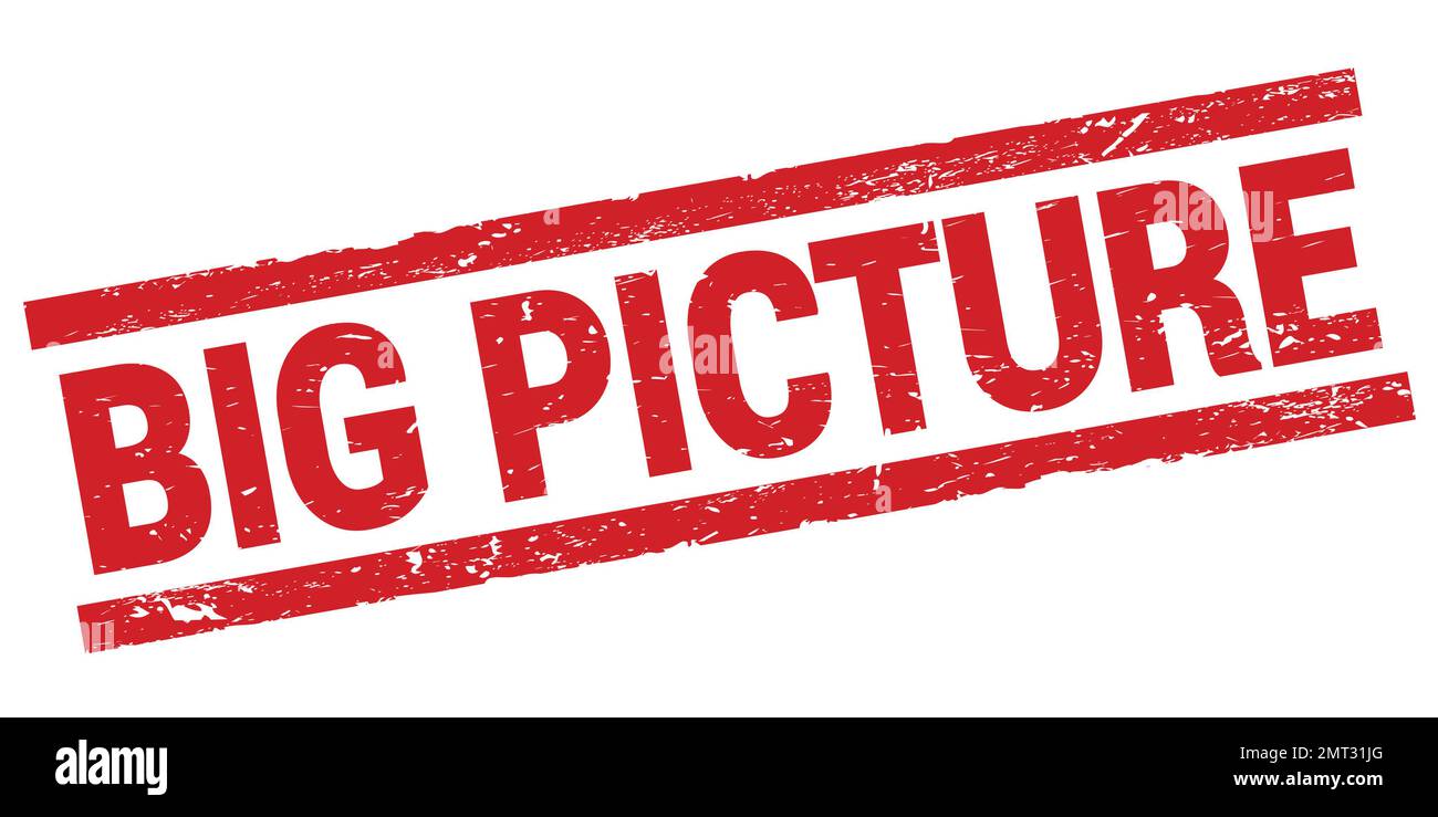 BIG PICTURE text written on red rectangle stamp sign Stock Photo - Alamy