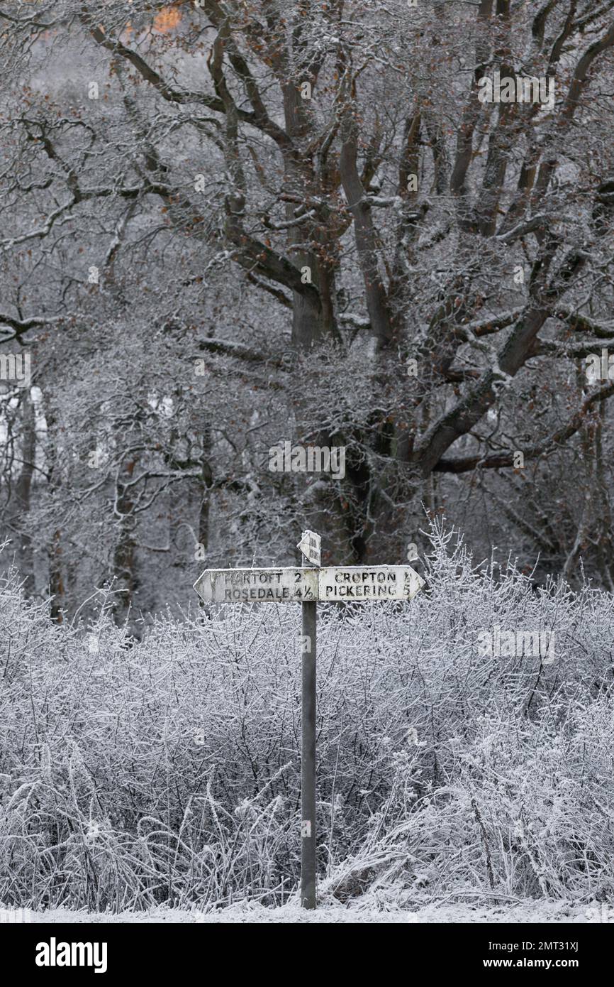 A sign board covered with snow in the forest Stock Photo - Alamy