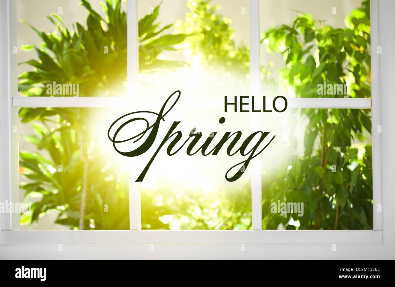Beautiful view through window on garden in morning. Hello spring Stock ...