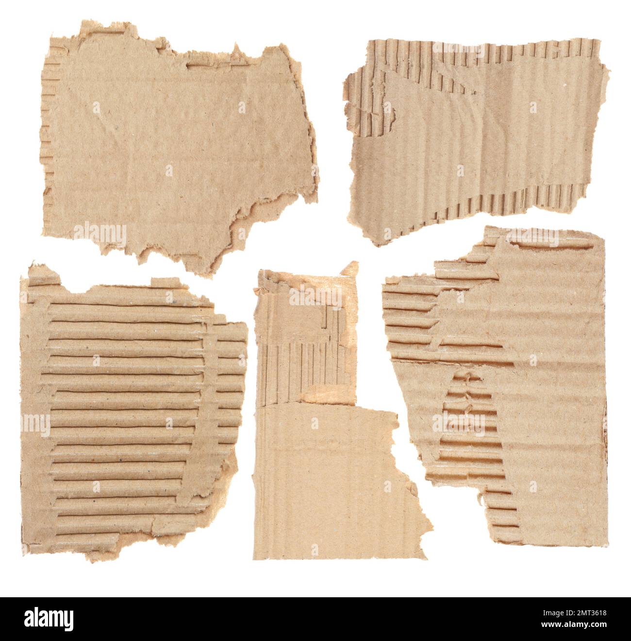 Set with pieces of torn cardboard on white background Stock Photo - Alamy