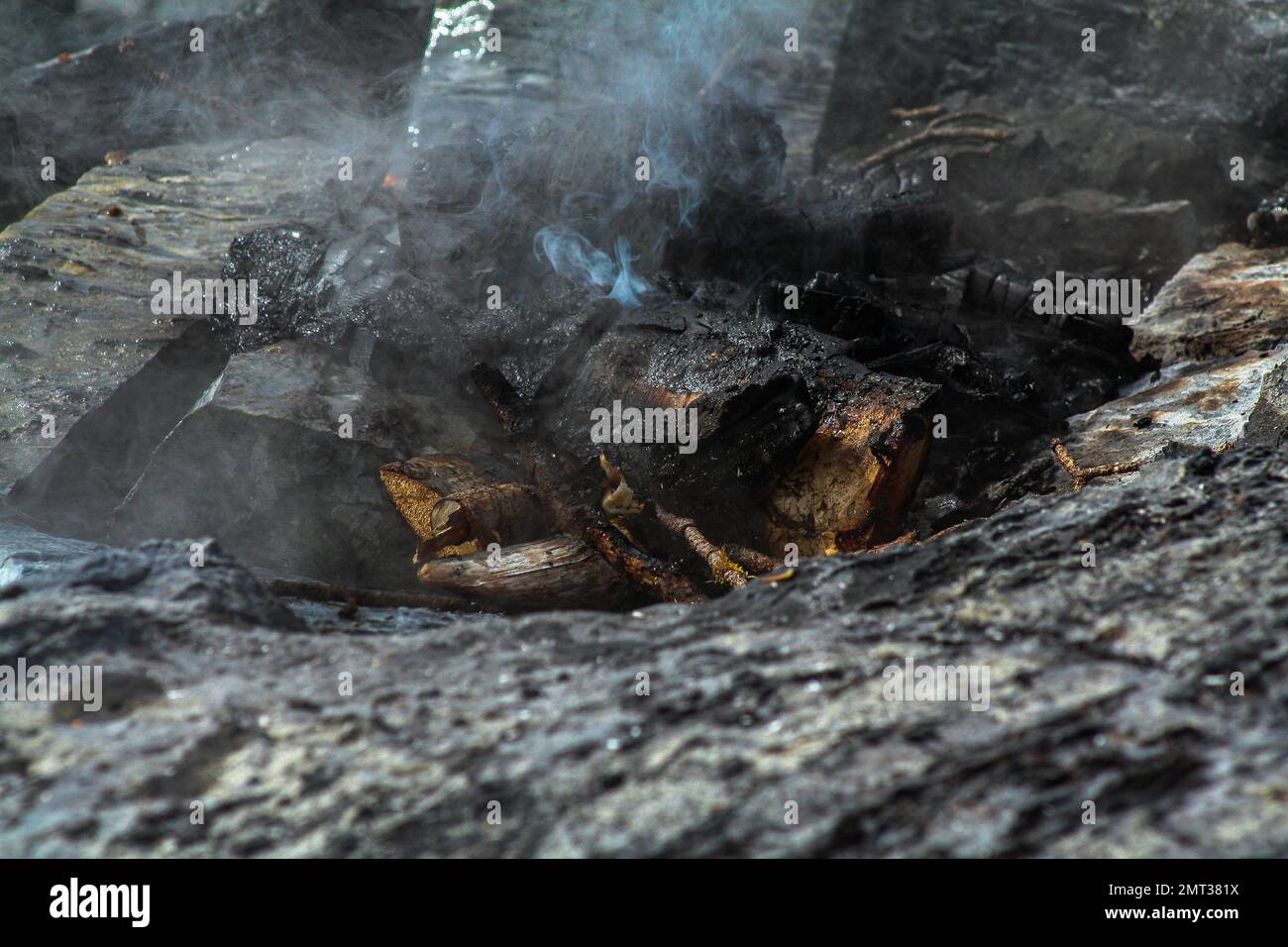 A closeup shot of smoking campfire wood partially turned into ashes ...
