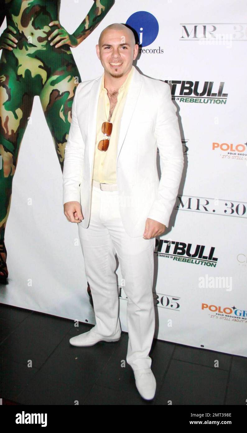 Pitbull Rebelution Album Cover