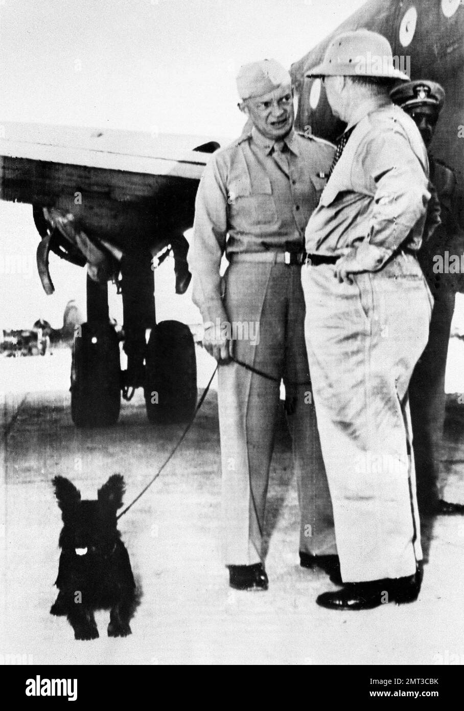 Gen. Dwight D. Eisenhower, Allied commander for North Africa, holds the ...