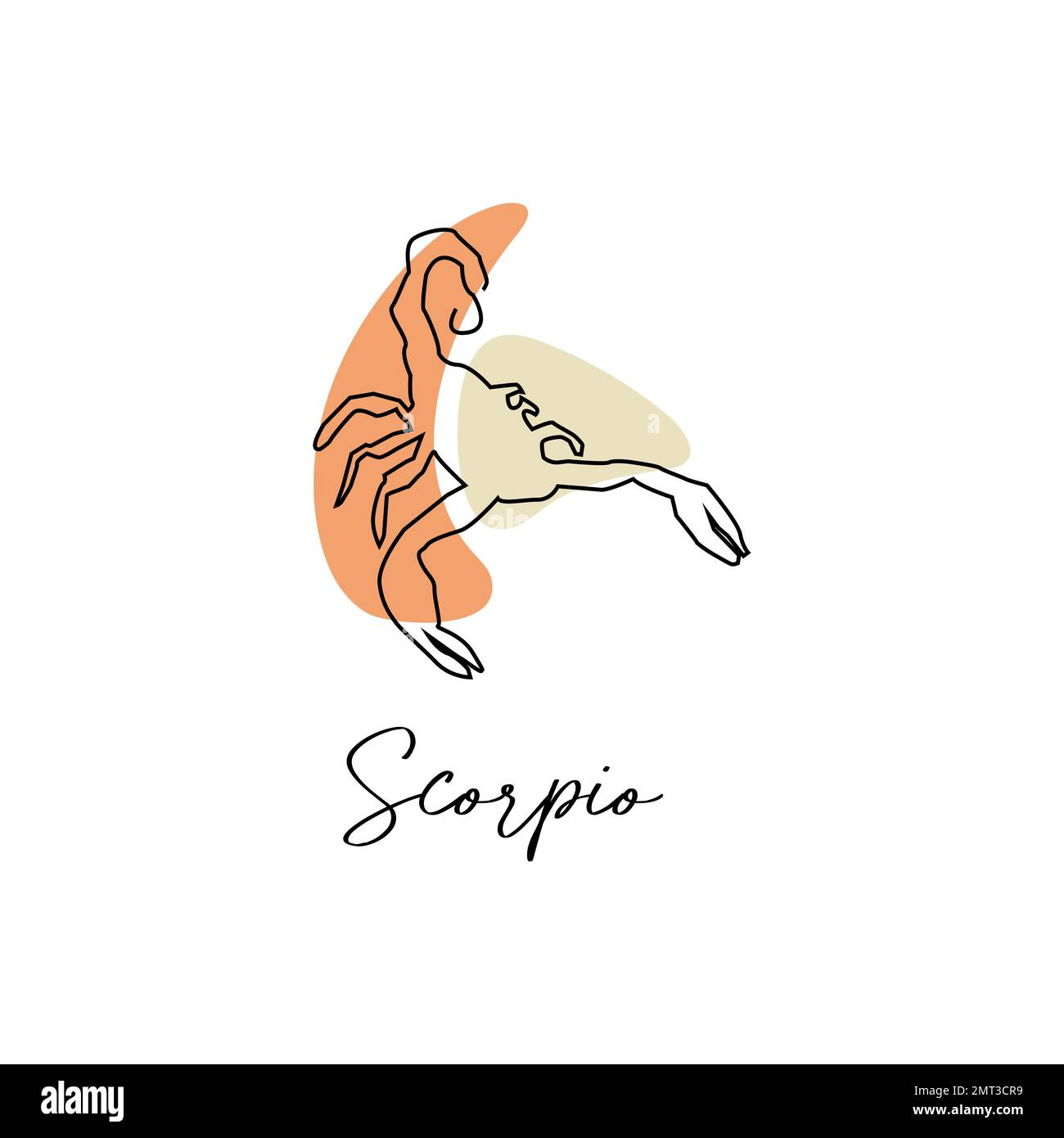 Astrology horoscope symbol zodiac Scorpio sign in line art style boho ...
