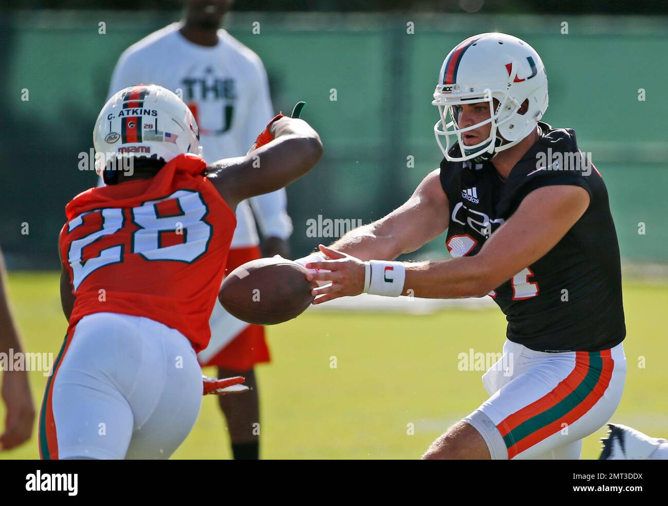 Miami quarterback Vincent Testaverde, right, hands off to running back ...