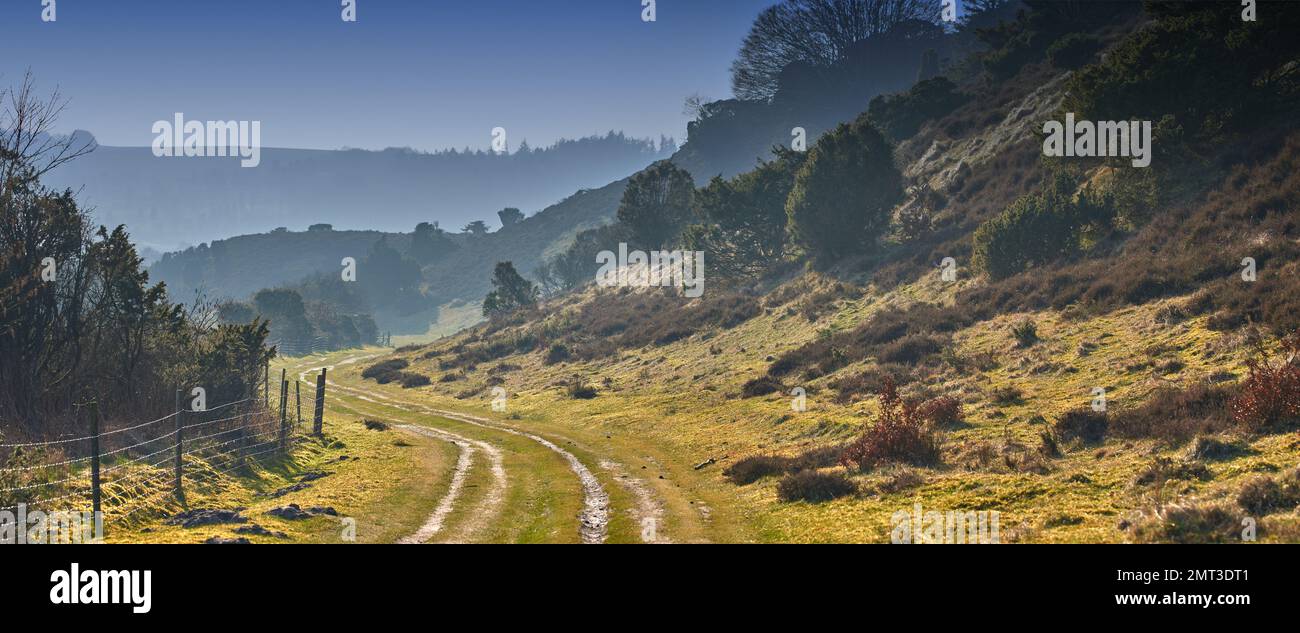 Lowland - Rebild National Park. A dirt road through lowland heath ...