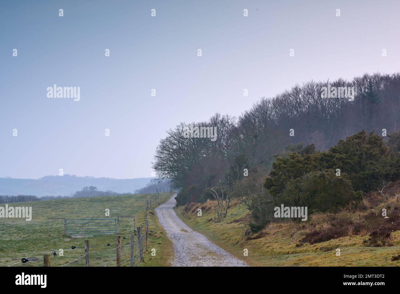 Lowland - Rebild National Park. A dirt road through lowland heath ...