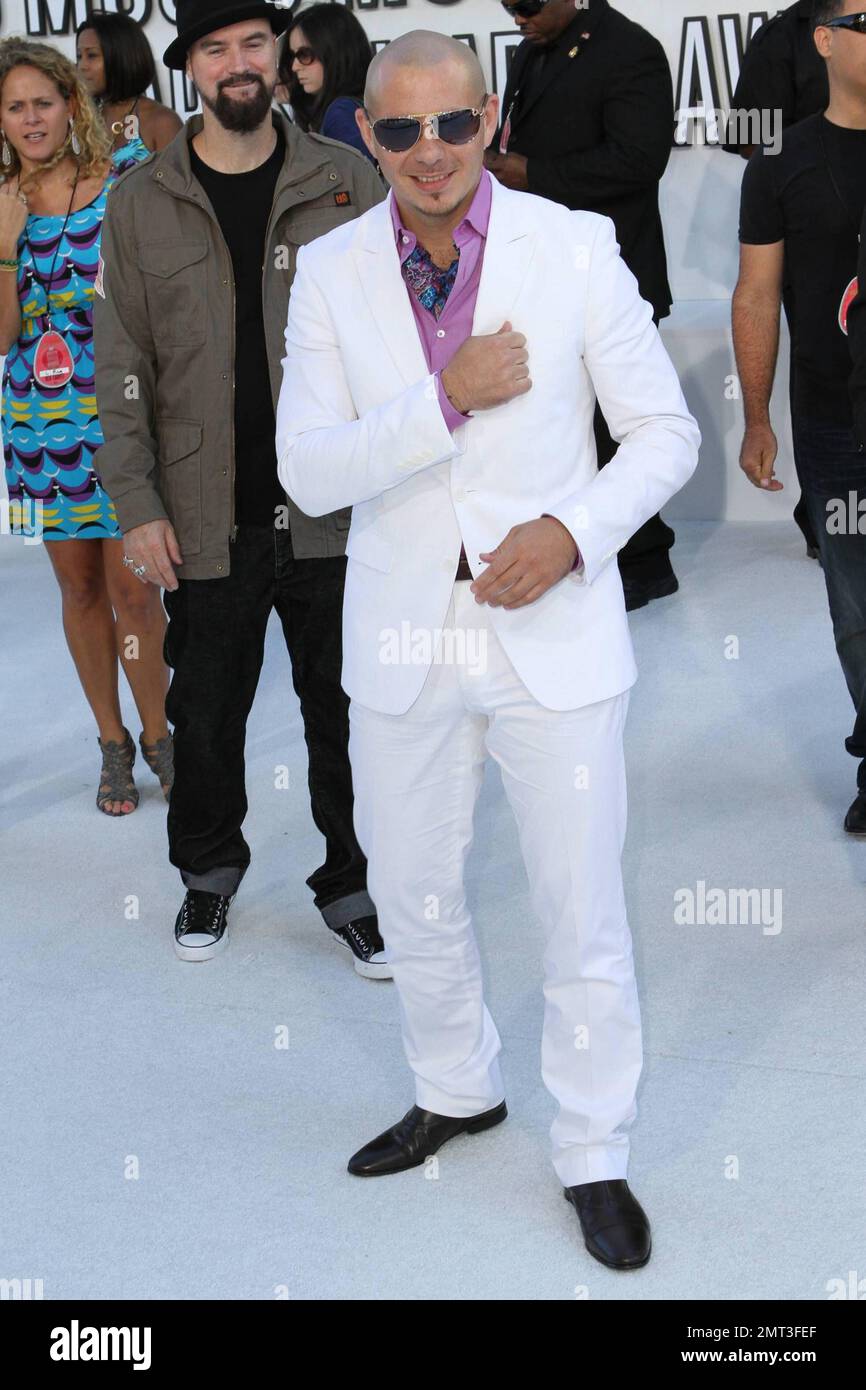 Destiny Perez Pitbull