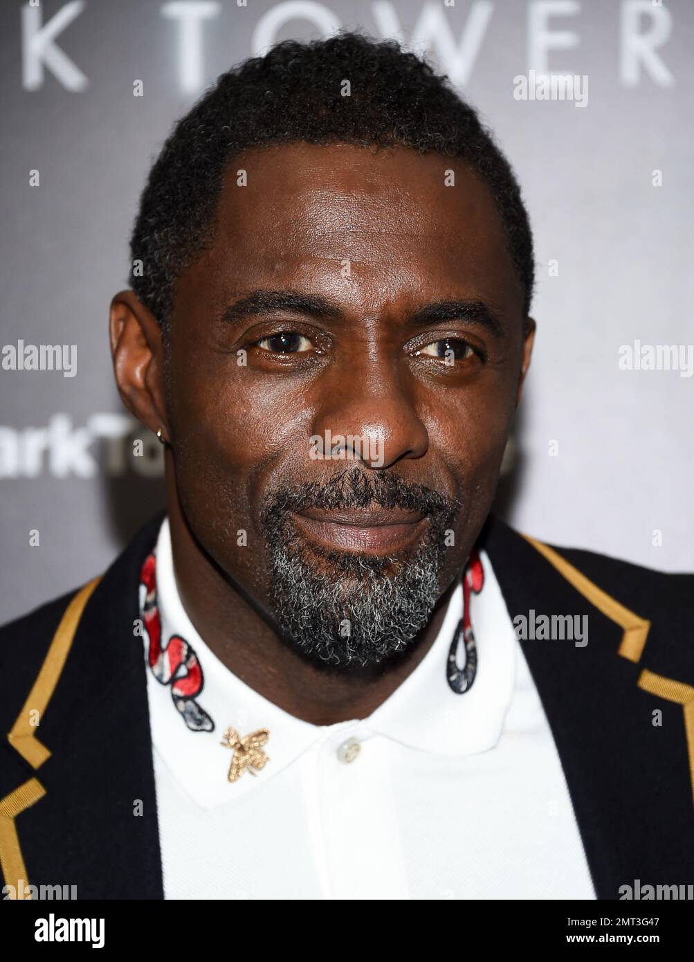 Actor Idris Elba attends a special screening of "The Dark Tower" at the ...