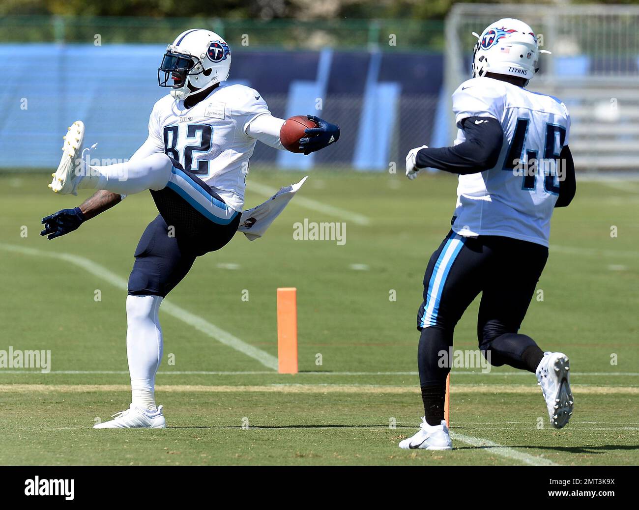 Tennessee Titans tight end Delanie Walker (82) celebrates after ...